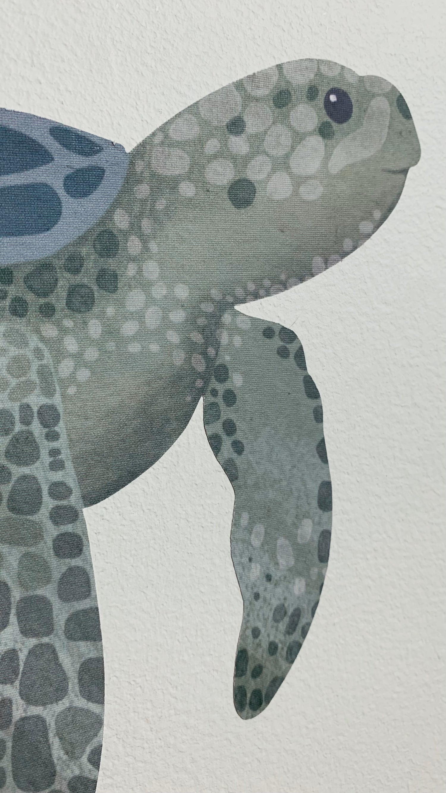 Decals Deep Sea – Dino Raw