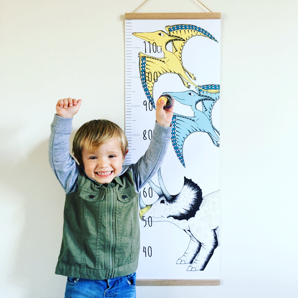 Dinosaur Growth Chart / Triceratops & Pterodactyl – Dino Raw